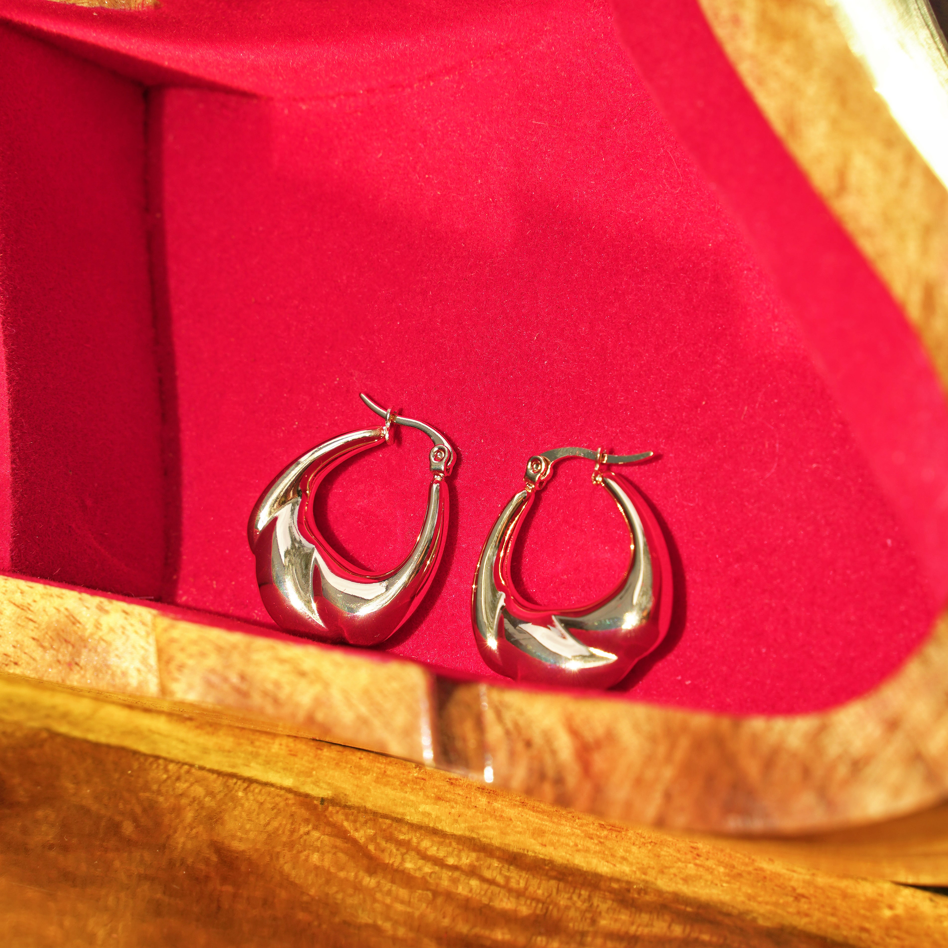 Gold Earrings – Vantori